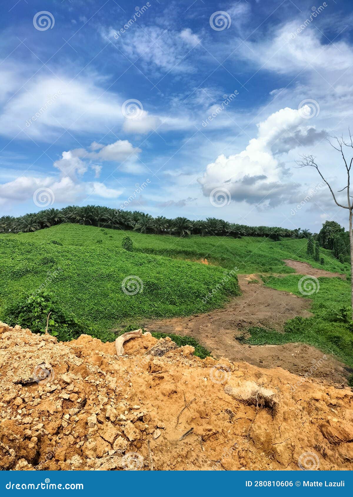 Nice View from the Hill and Tree Stock Photo - Image of view, hill ...