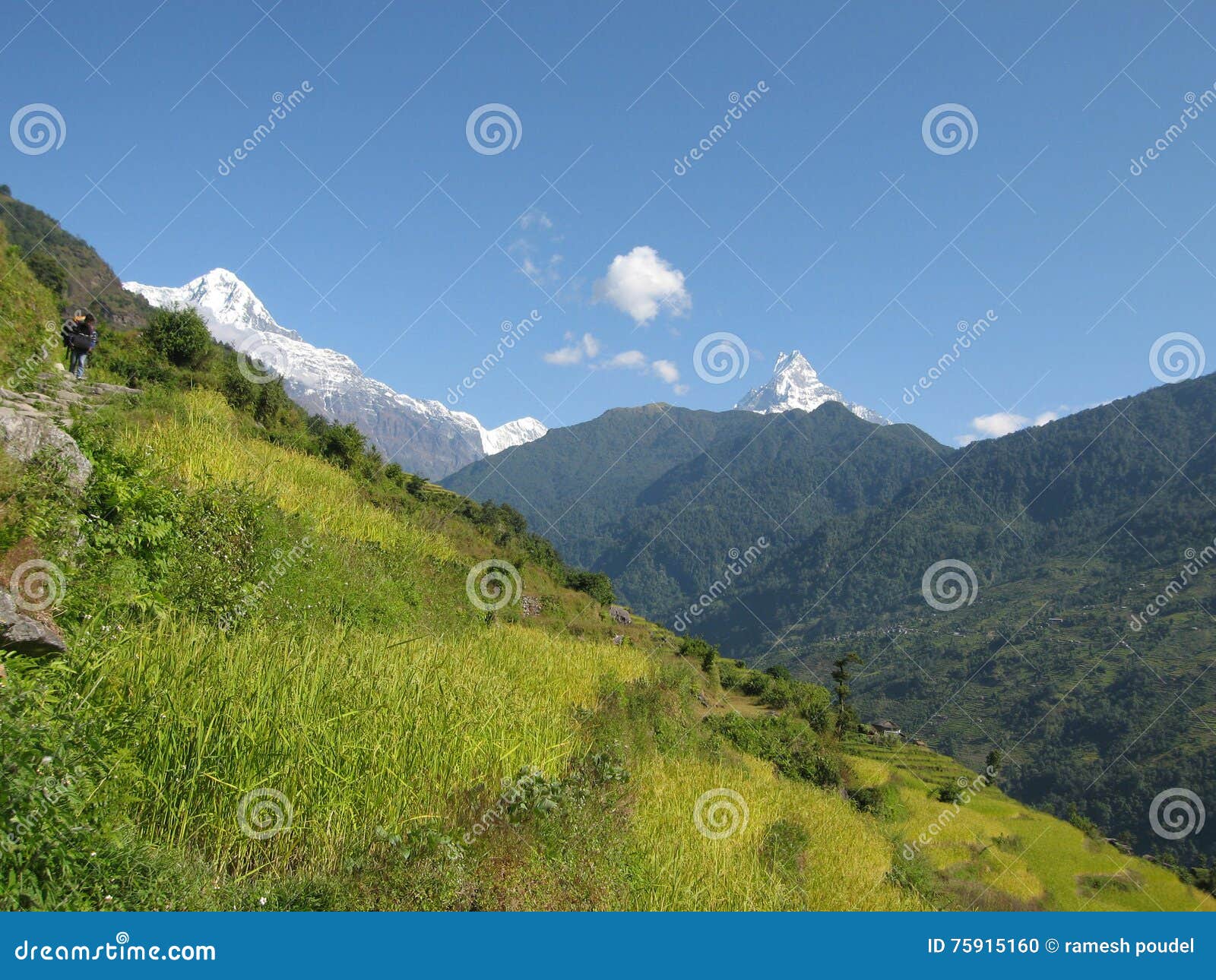 Nice View of Mountain at Nepal Stock Photo - Image of mountain, capture ...