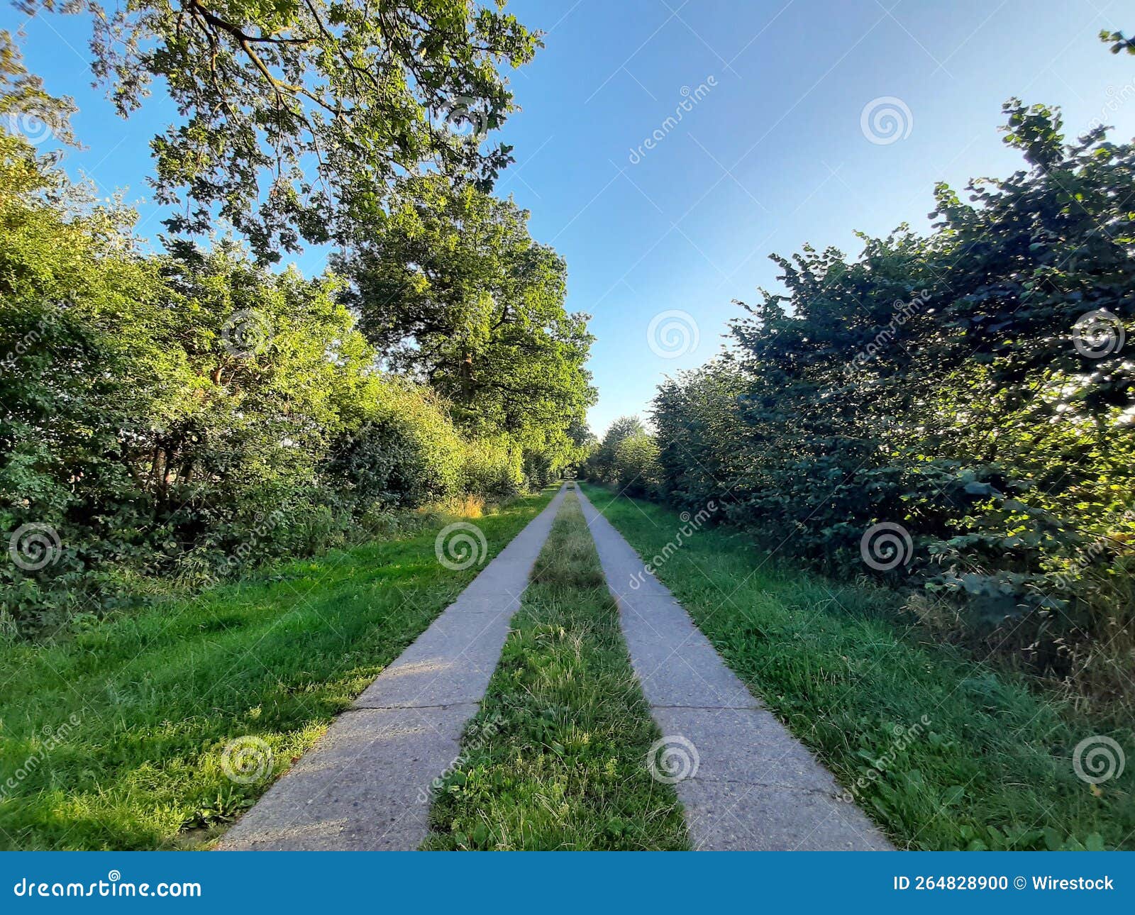 A Beautiful Perspective of a Pathway Stock Photo - Image of green ...