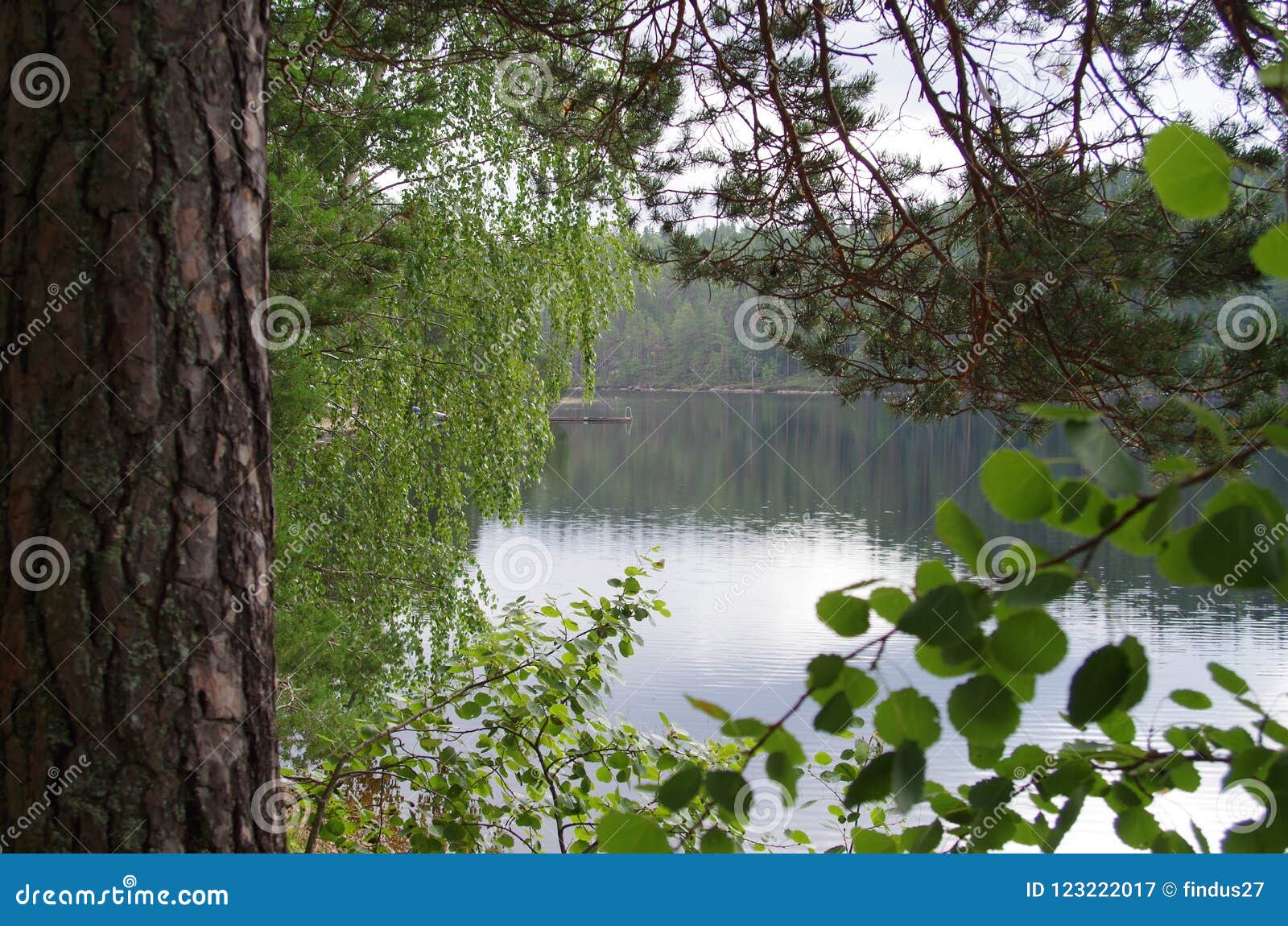 A nice view over a lake stock image. Image of green - 123222017