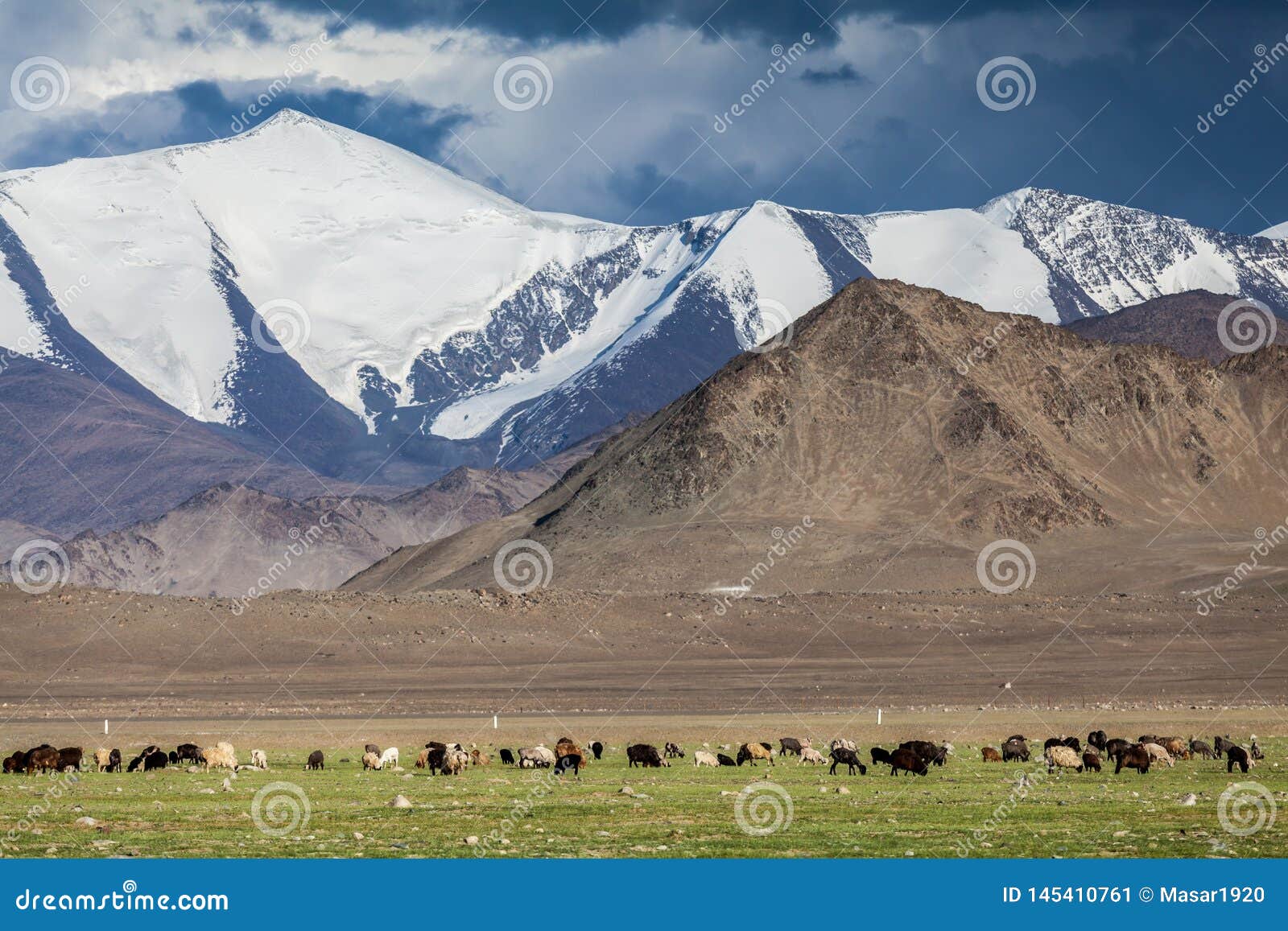 Nice View of Pamir in Tajikistan Stock Image - Image of park ...