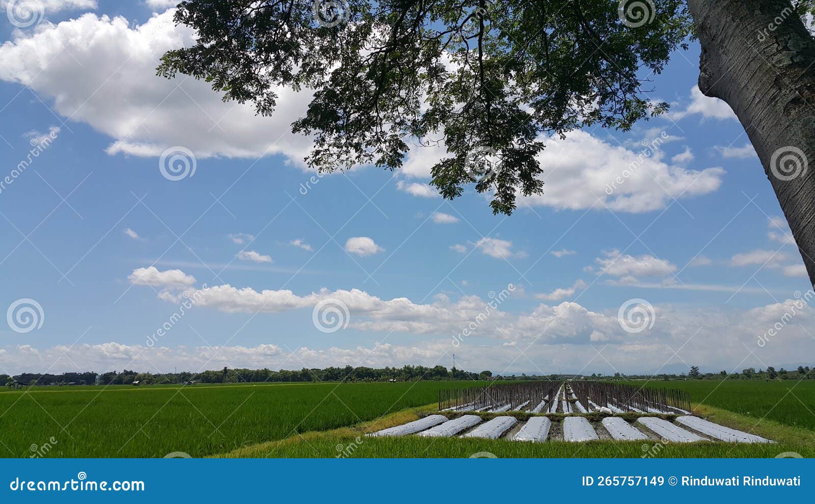 Nice View of the Sky Over the Fields Stock Image - Image of fields ...