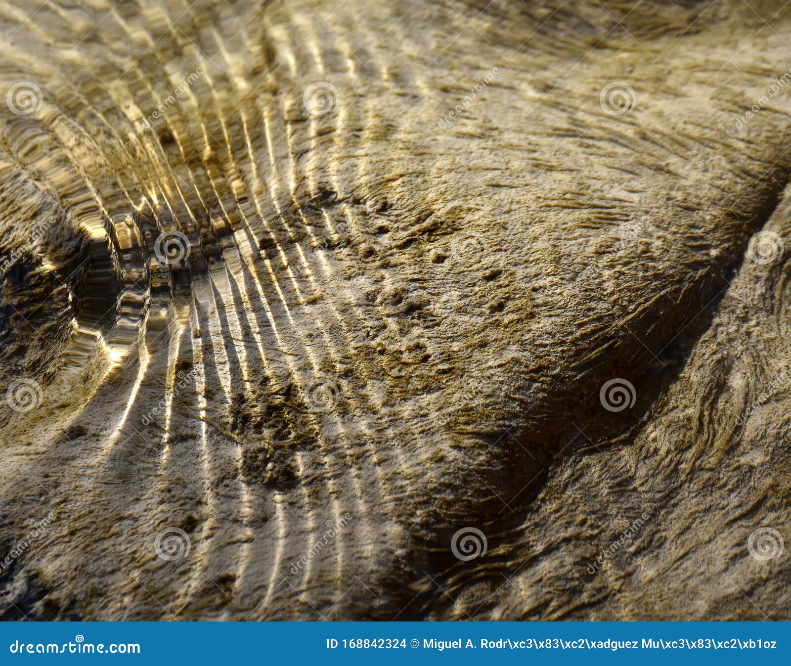 3,405 Nice Visual Photos - Free & Royalty-Free Stock Photos from Dreamstime