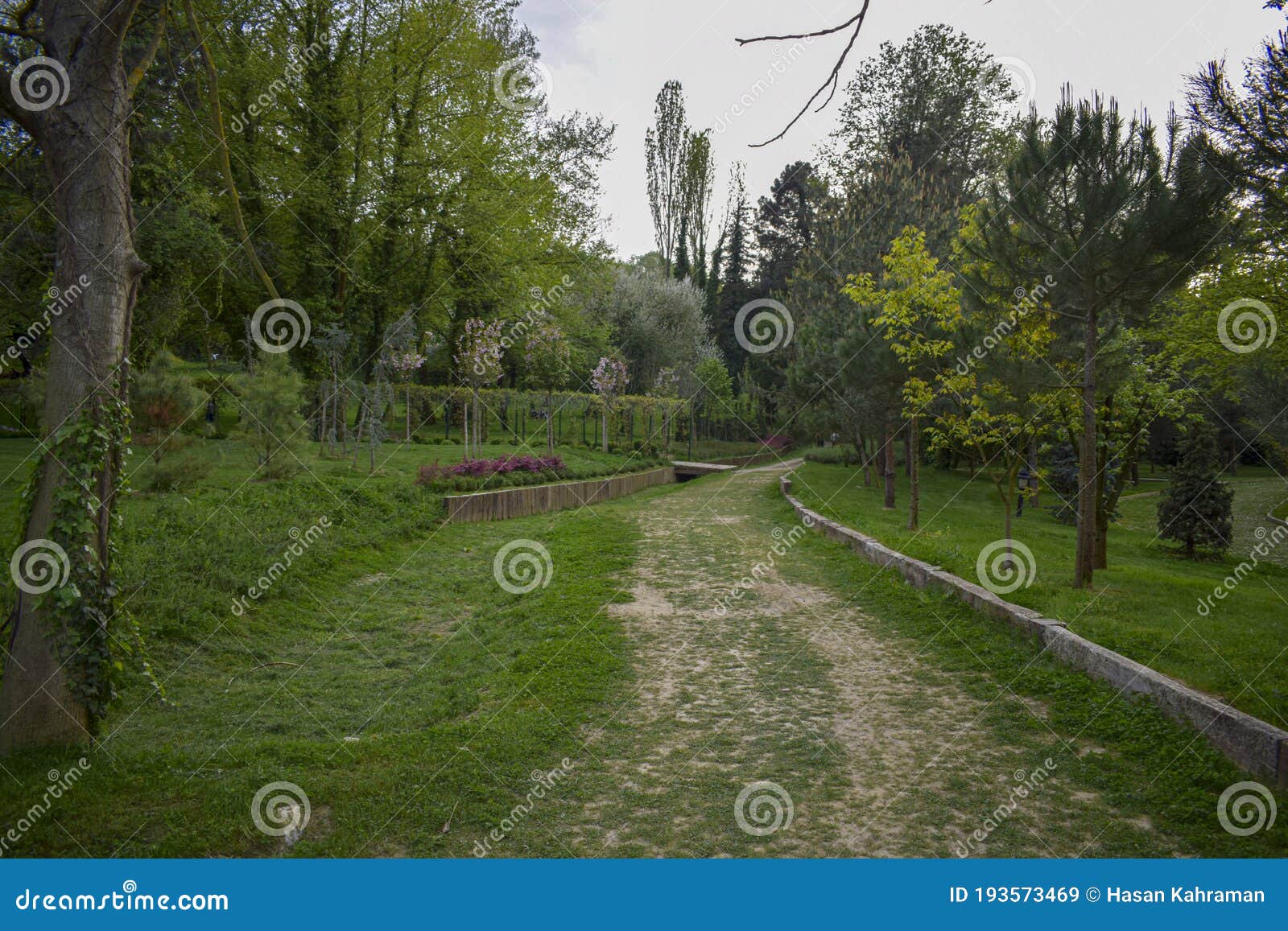 A Nice Walking Path in the Park Stock Image - Image of wood, beautiful ...