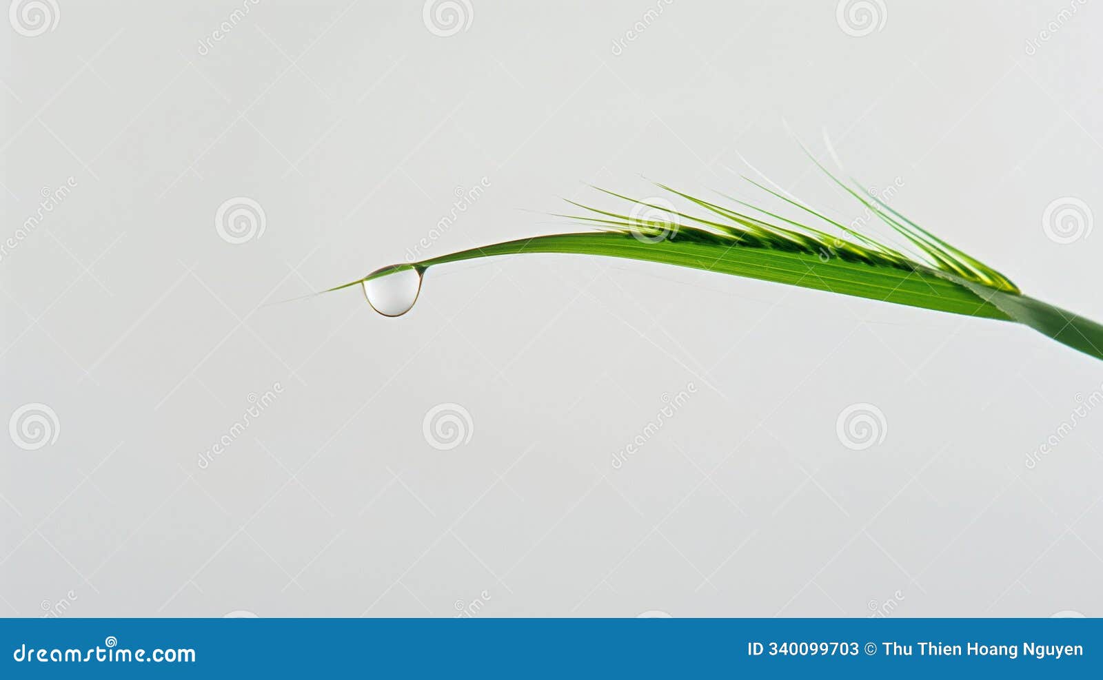 Nice Water Drop Theme for Wallpaper Stock Image - Image of drop, fresh ...