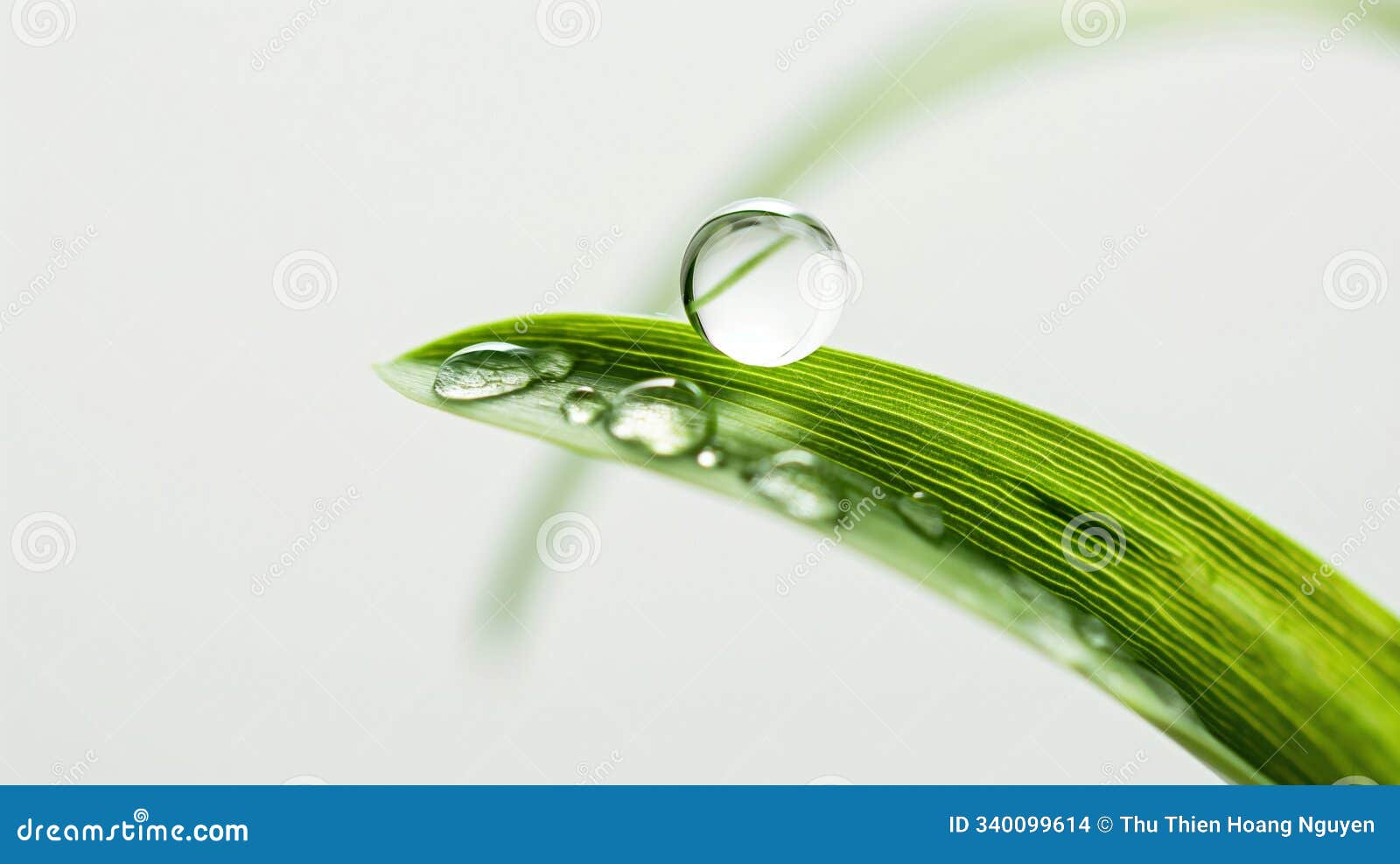 Nice Water Drop Theme for Wallpaper Stock Photo - Image of bright ...
