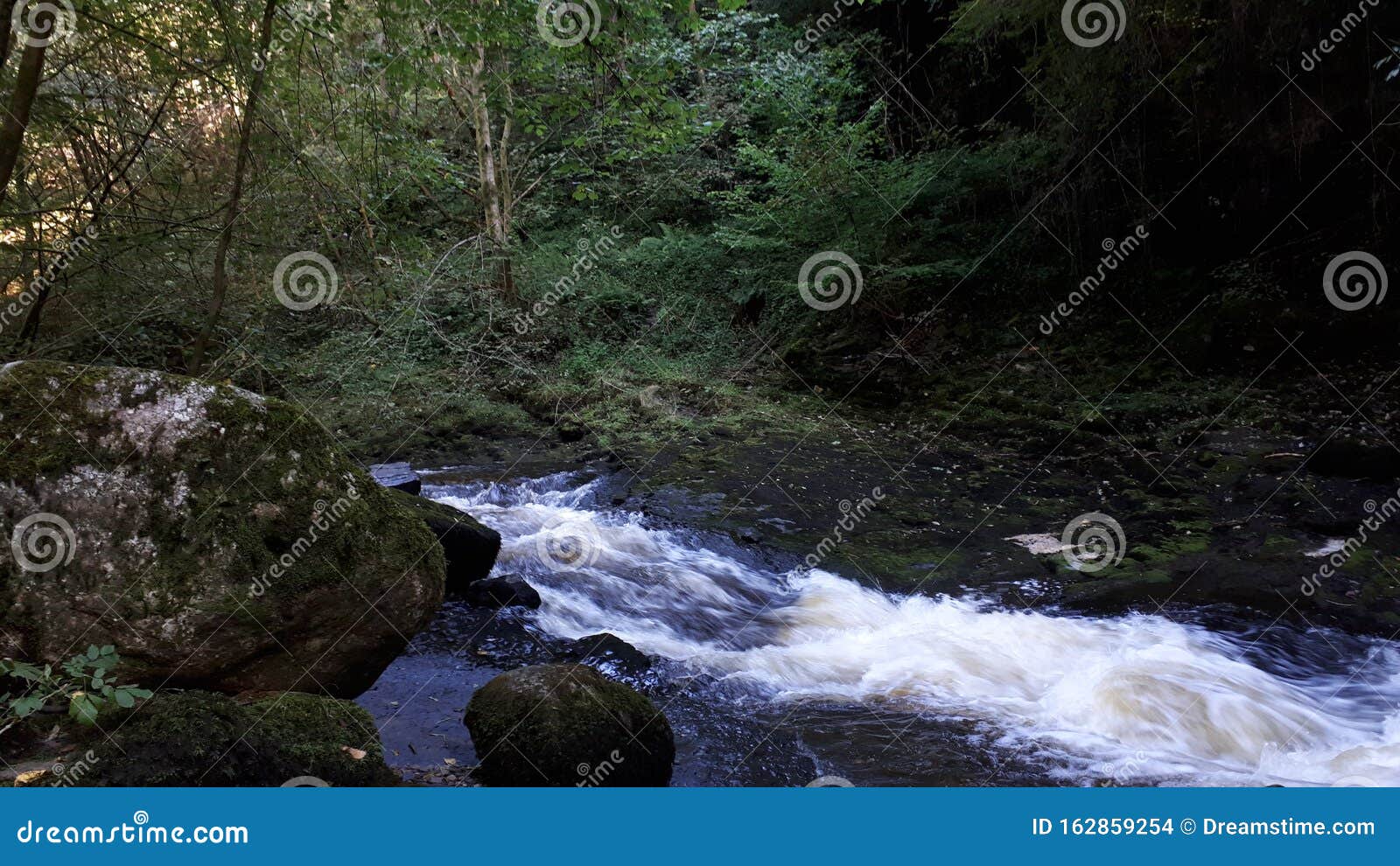 Nice water nature stock photo. Image of wildlife, cool - 162859254