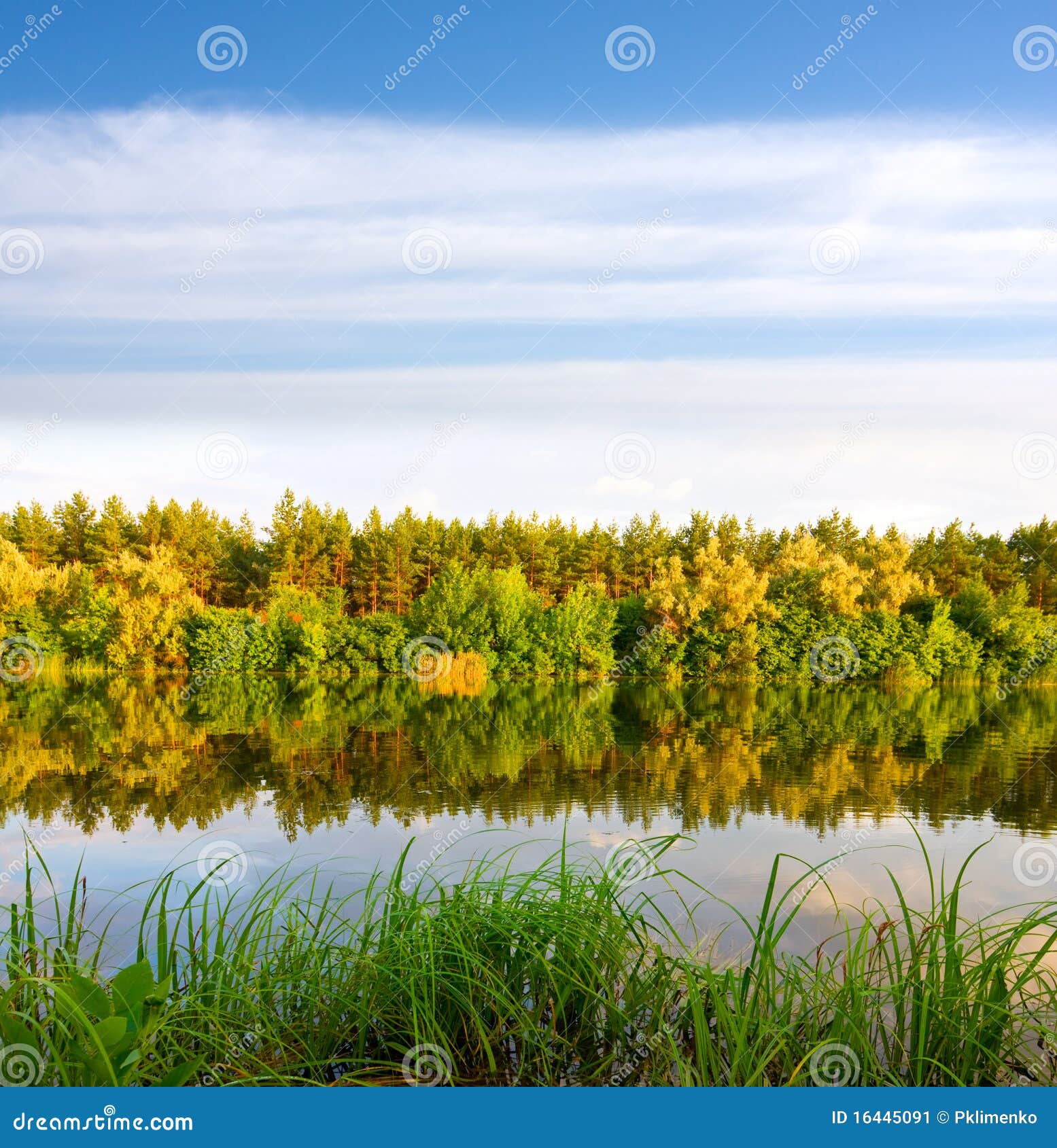 Nice Water Reflection with Autumn Forest Stock Image - Image of fall ...
