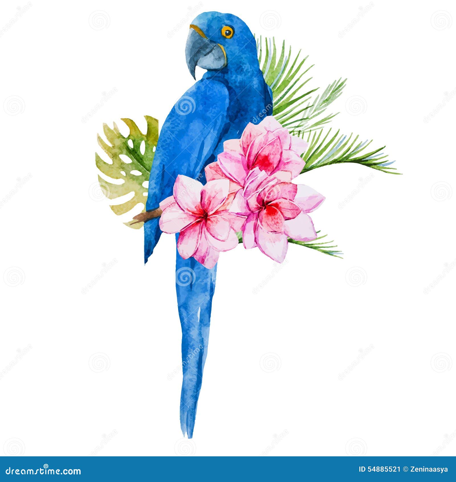 Nice Watercolor Blue Parrots Stock Vector - Illustration of feather ...