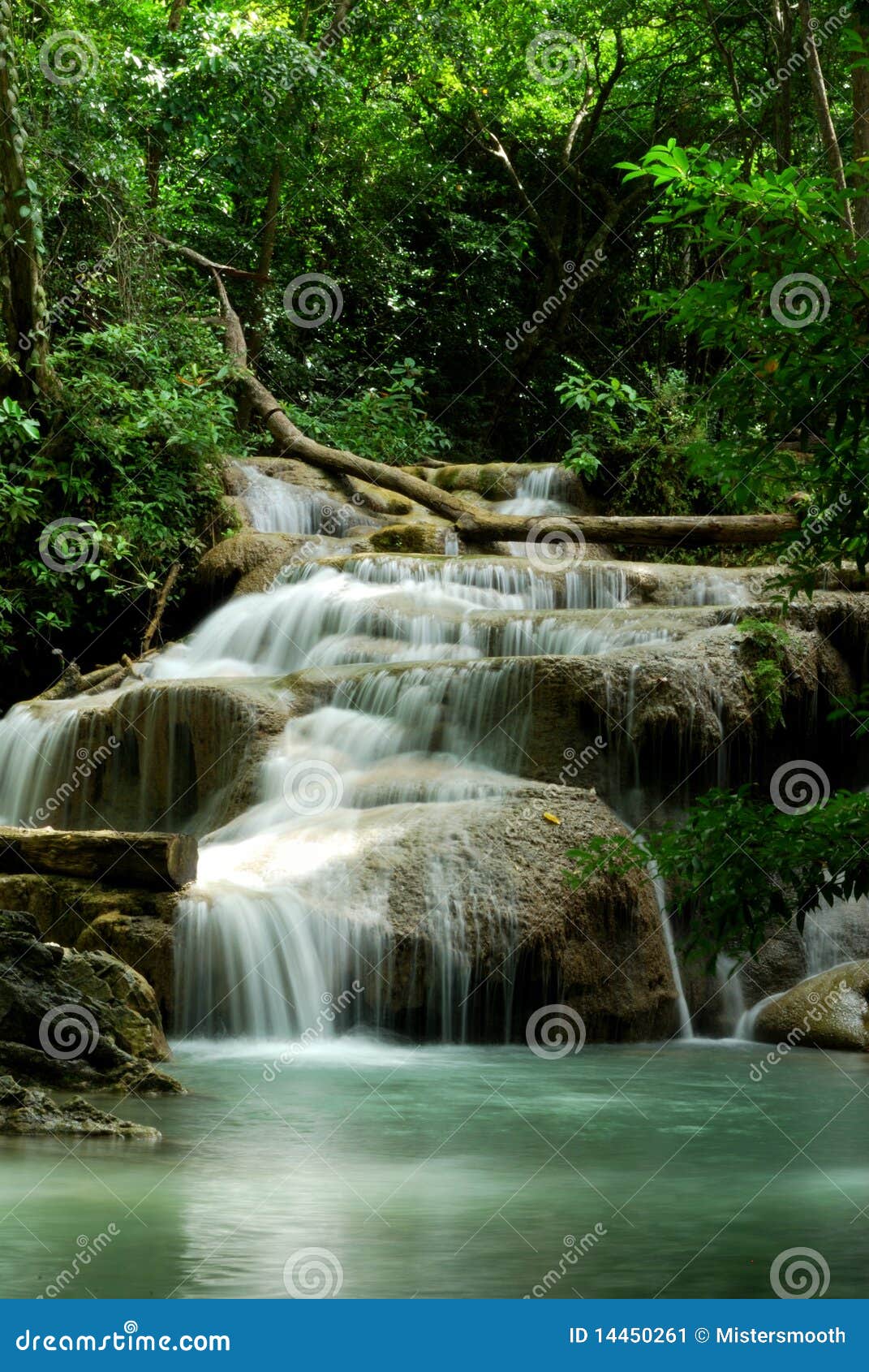 Nice waterfall stock image. Image of rock, tree, waterfall - 14450261