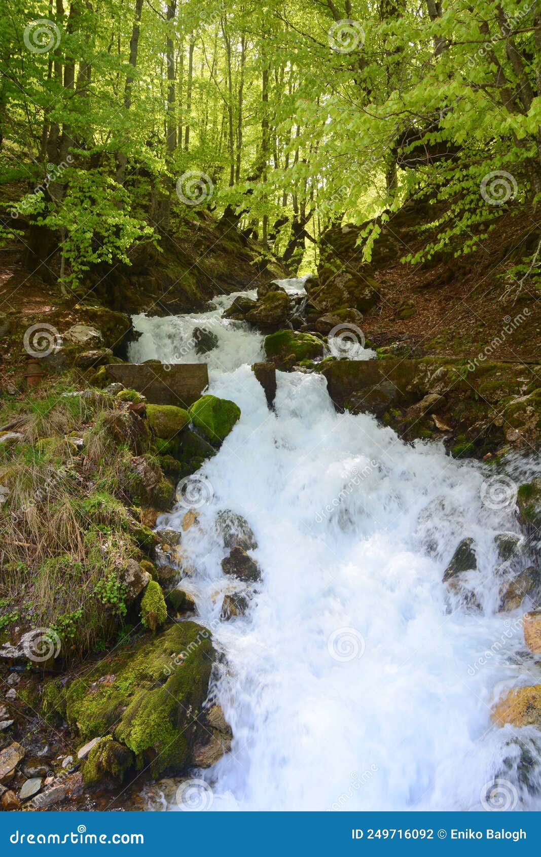 Nice waterfall in forest stock photo. Image of view - 249716092