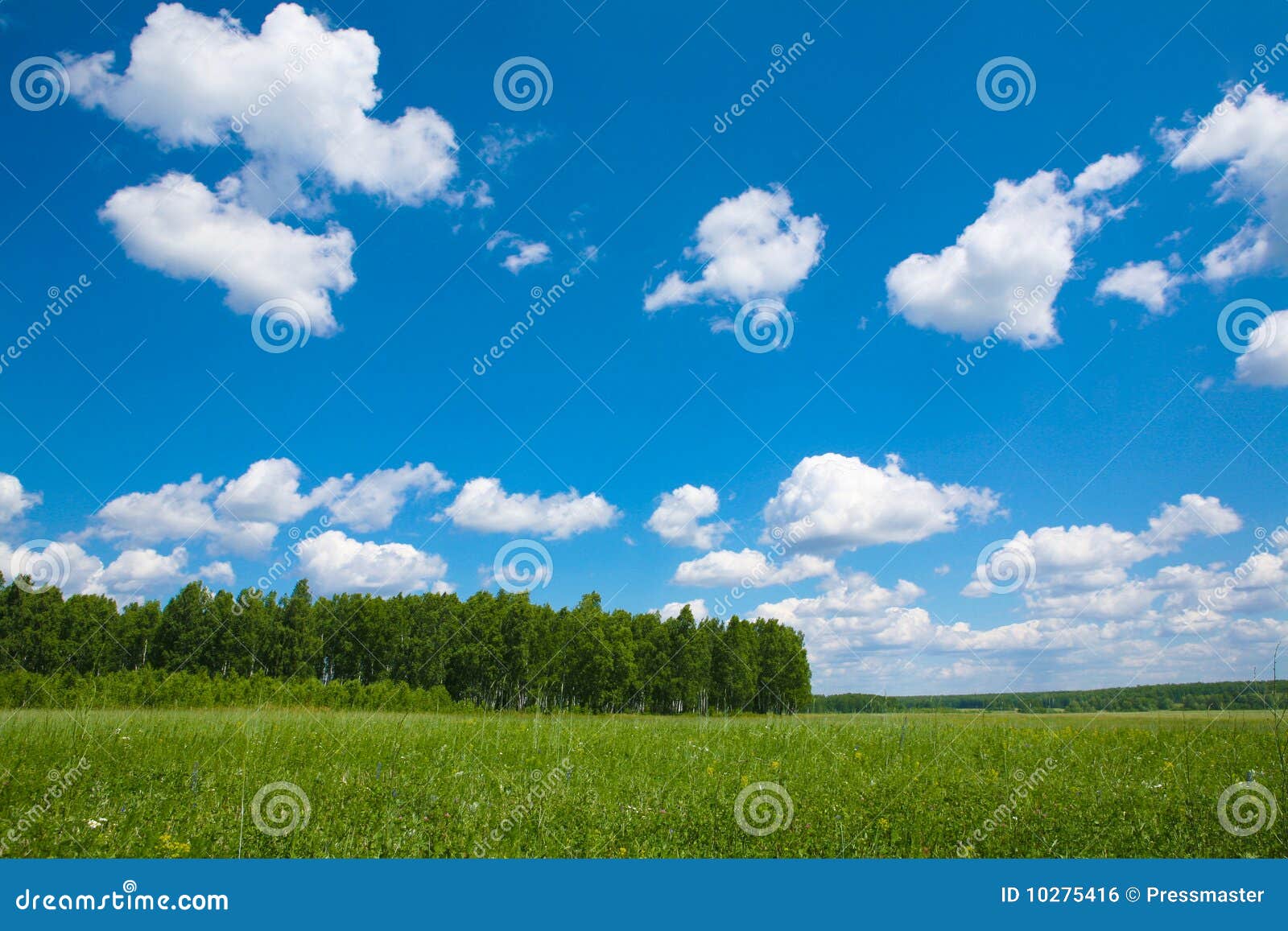 Nice weather stock photo. Image of ecology, green, area - 10275416