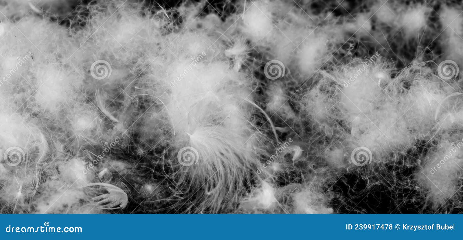 Nice White Duck Down. Texture or Background Stock Photo - Image of duck ...