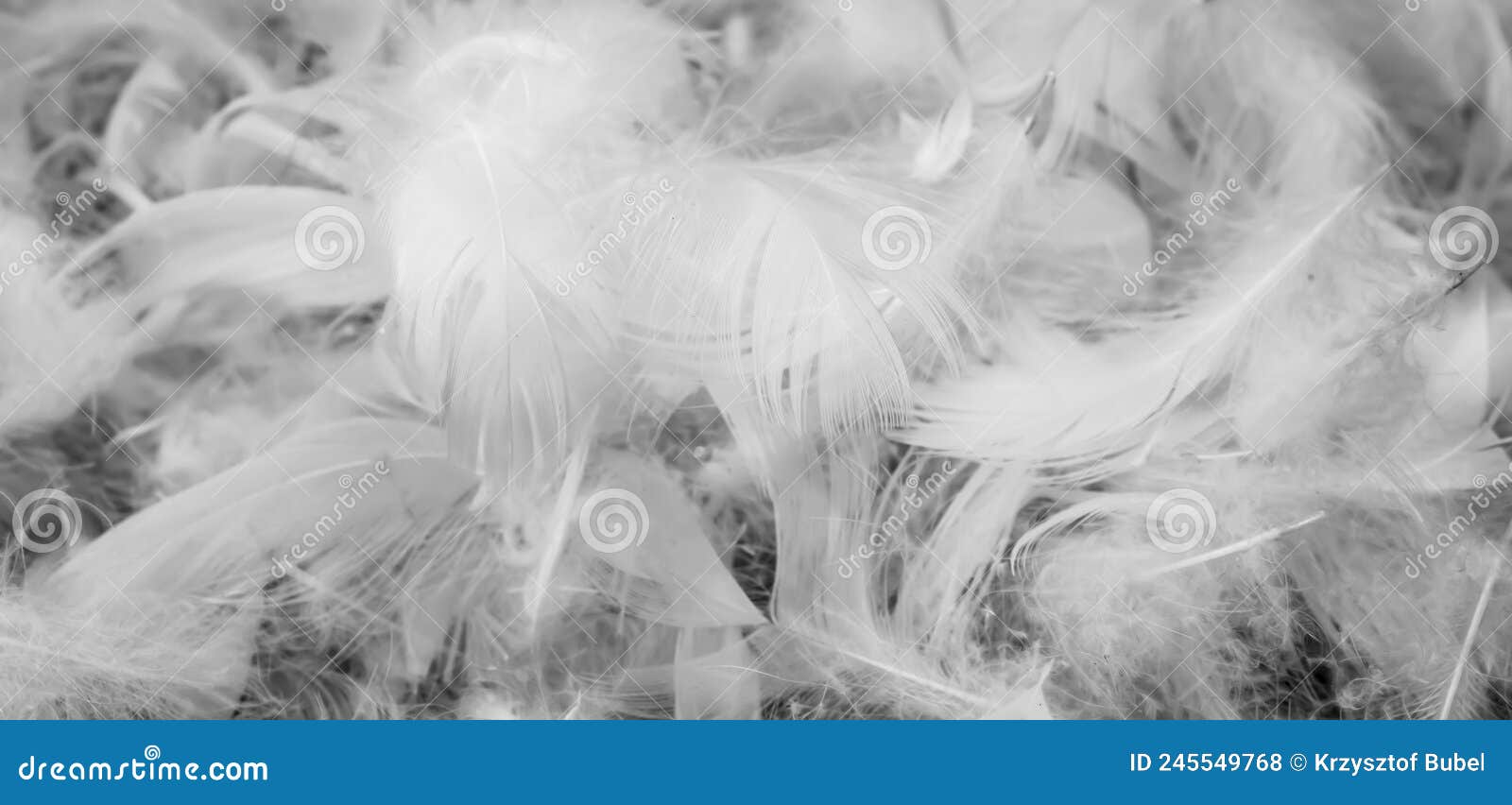 Nice White Duck Feathers. Background or Texture Stock Photo - Image of ...