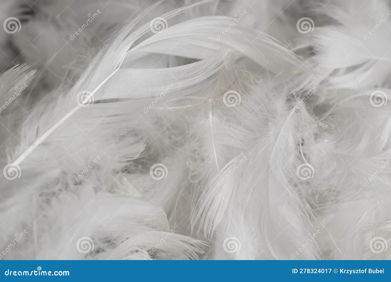 Nice White Duck Feathers. Background or Texture Stock Image - Image of ...