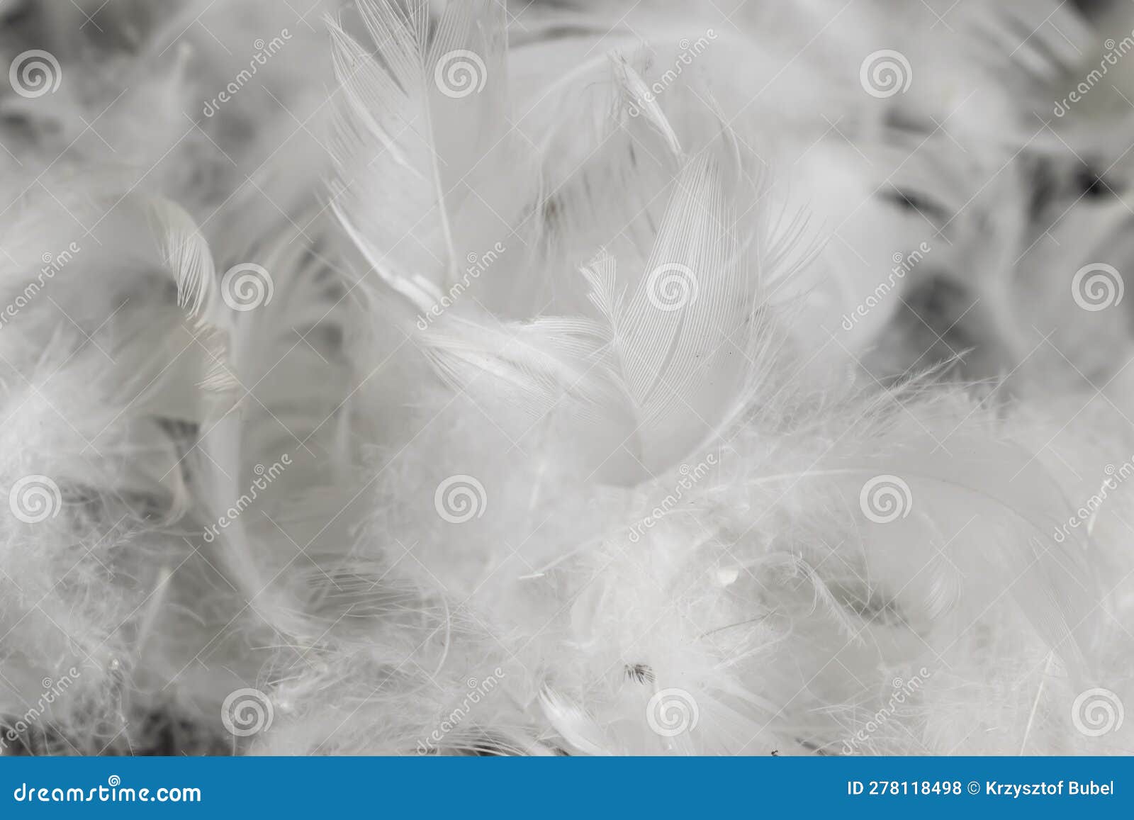 Nice White Duck Feathers. Background or Texture Stock Photo - Image of ...