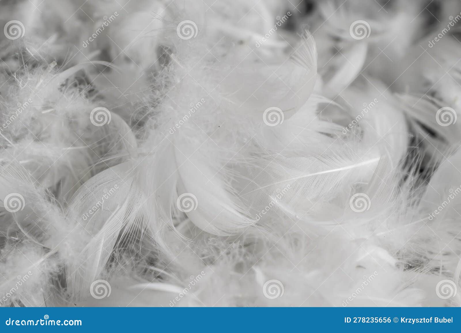 Nice White Duck Feathers. Background or Texture Stock Photo - Image of ...