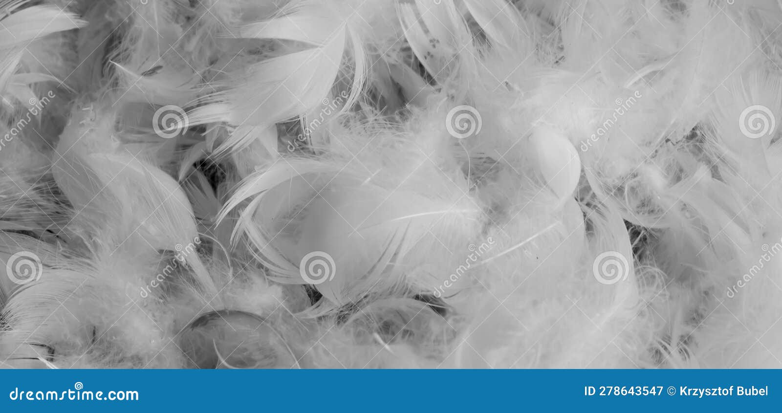 Nice White Duck Feathers. Background or Texture Stock Image - Image of ...