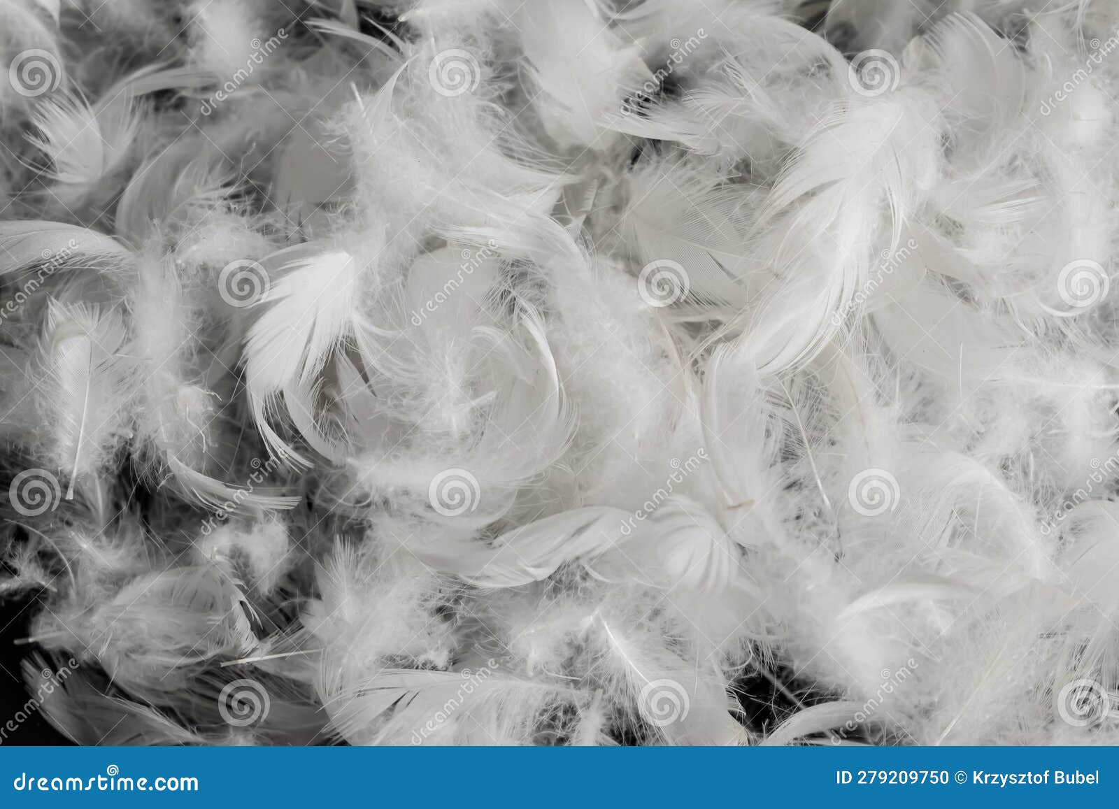 Nice White Duck Feathers. Background or Texture Stock Photo - Image of ...
