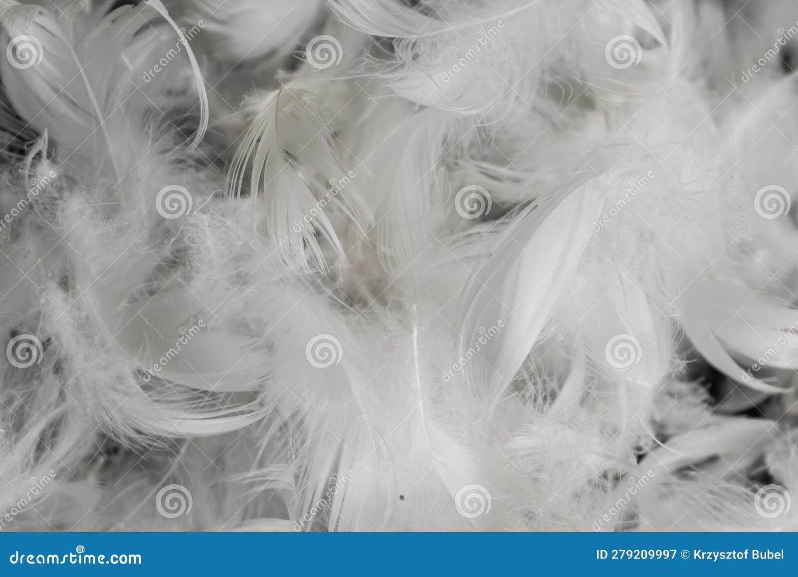Nice White Duck Feathers. Background or Texture Stock Image - Image of ...