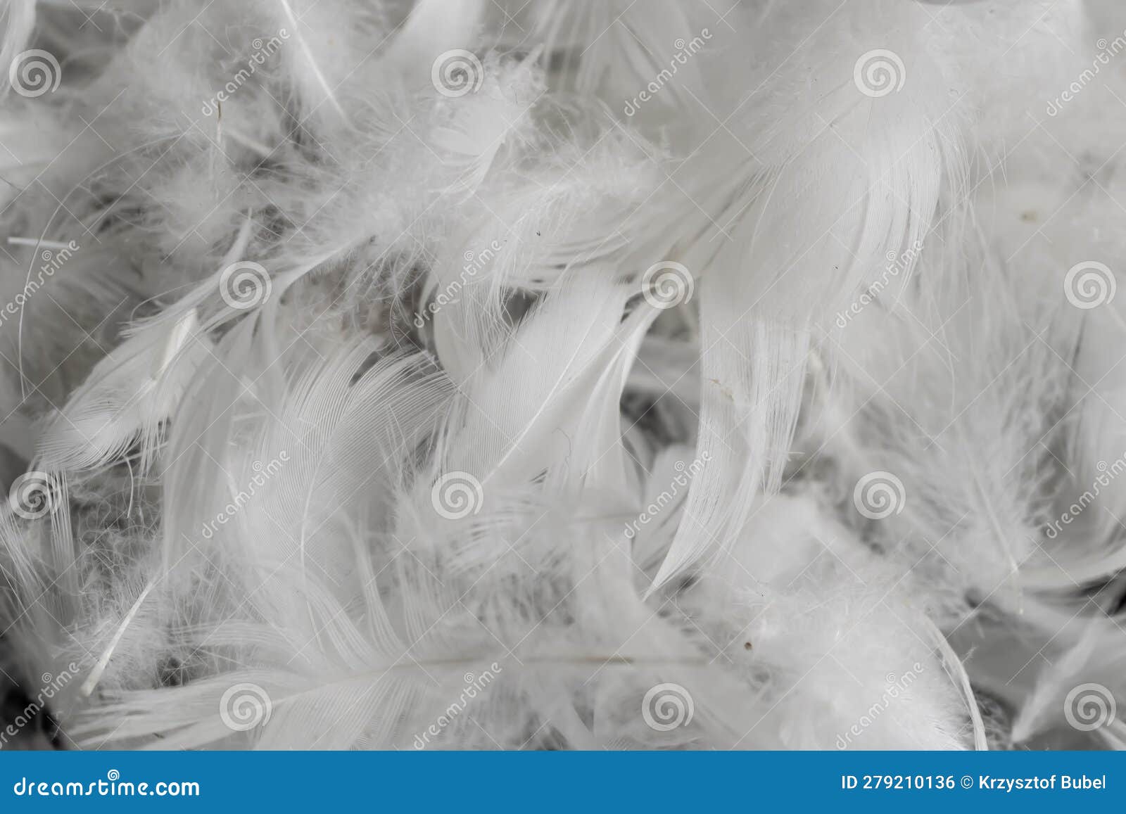 Nice White Duck Feathers. Background or Texture Stock Photo - Image of ...