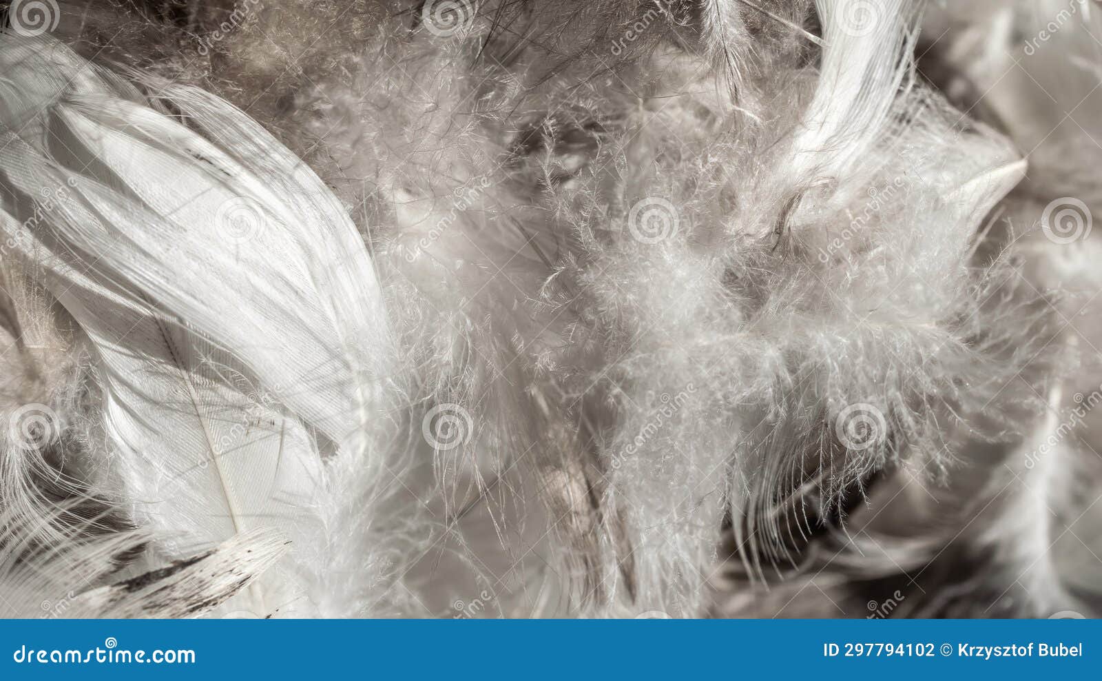 Nice White Duck Feathers. Background or Texture Stock Photo - Image of ...