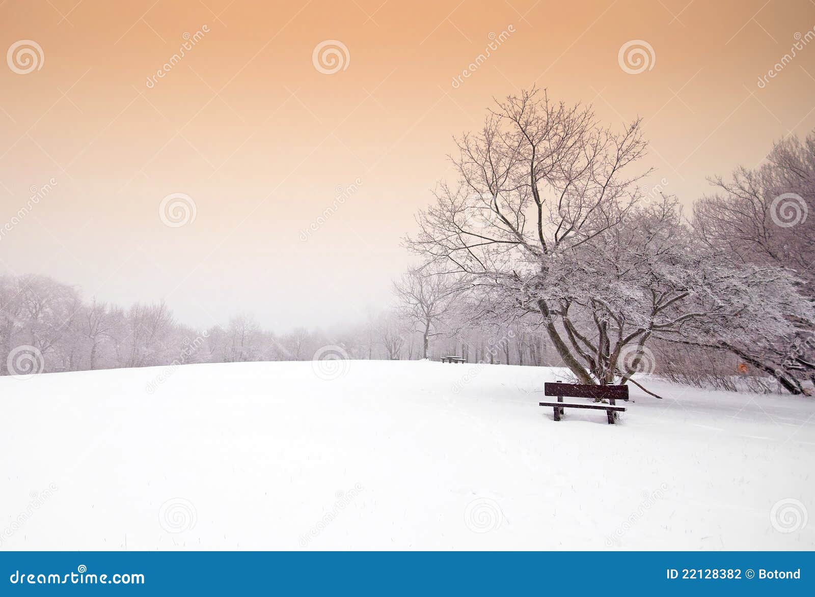 Nice winter scene stock photo. Image of scene, winter - 22128382