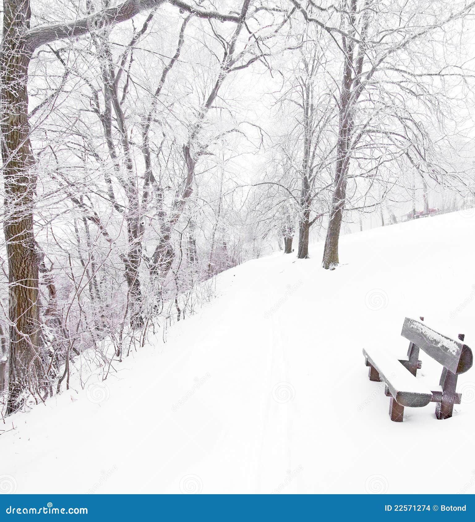 Nice winter scene stock photo. Image of scene, winter - 22571274