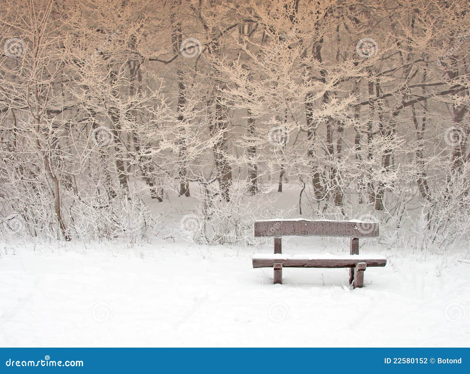 Nice winter scene stock photo. Image of nature, white - 22580152