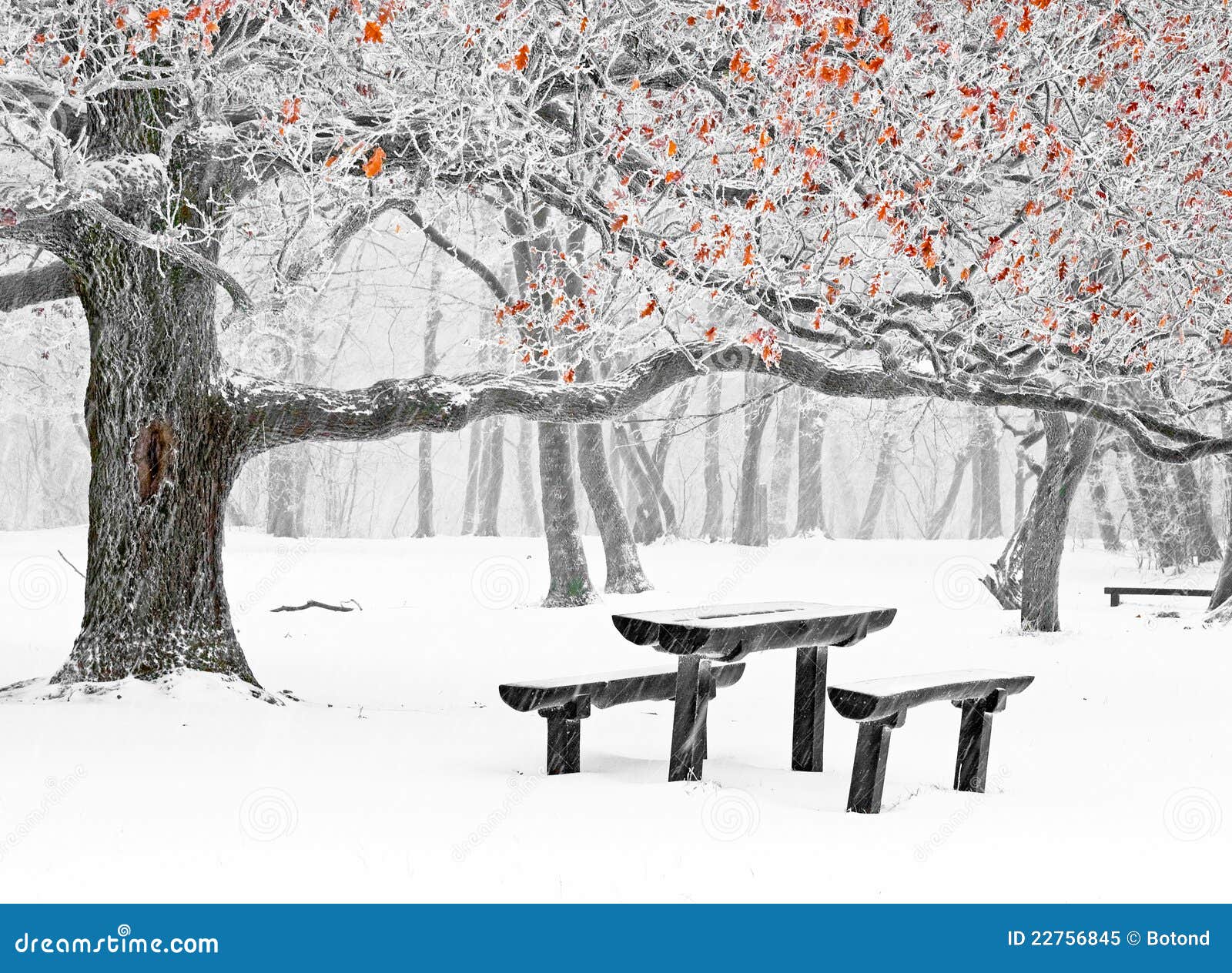 Nice winter scene stock image. Image of path, outdoor - 22756845