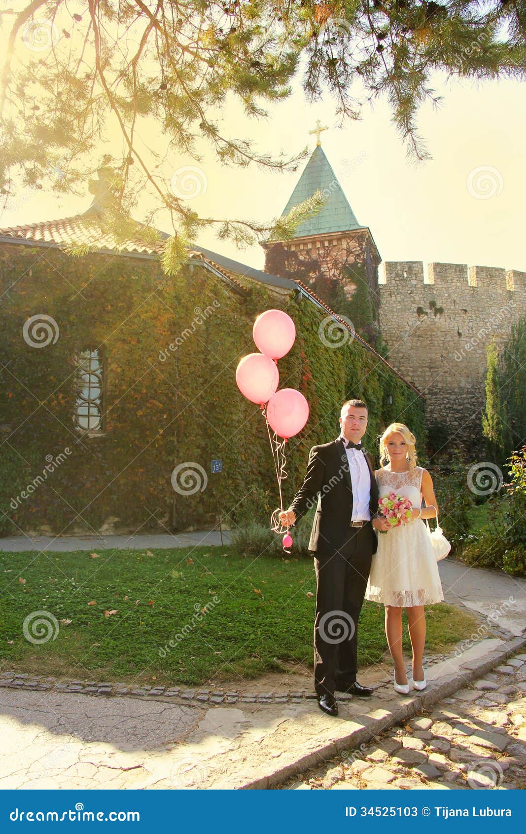 Nice young wedding couple stock image. Image of people - 34525103