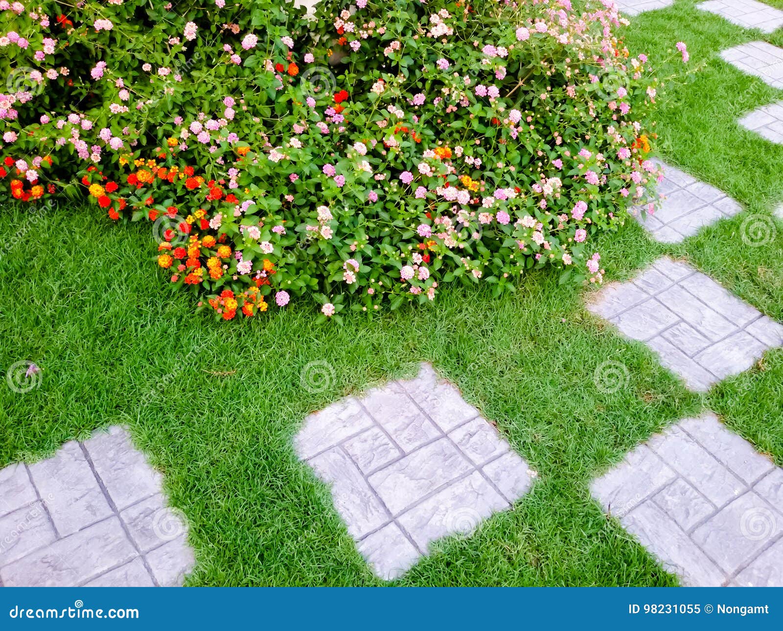 Nicely Decorated Garden with Stones and Plants Home Stock Image - Image ...