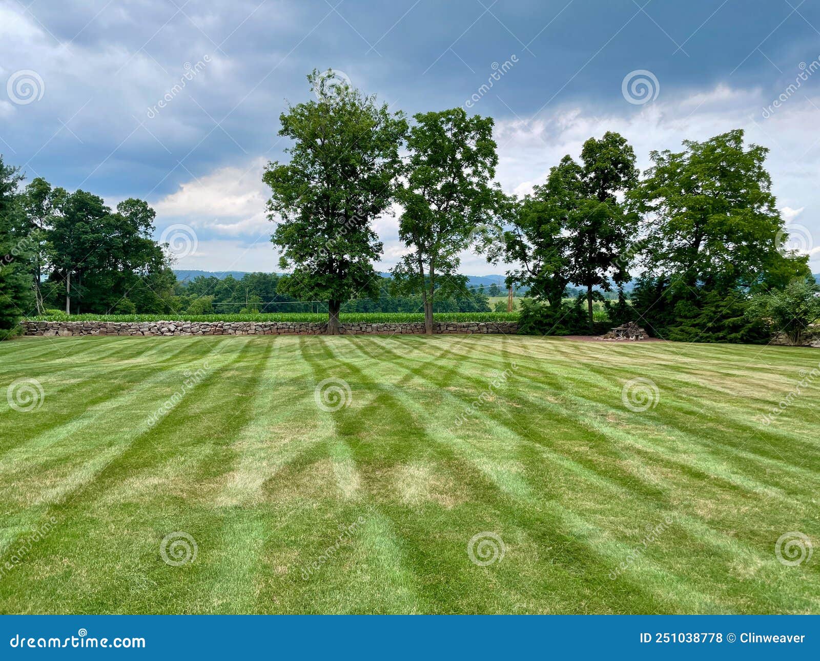 Nicely Mown Lawn stock photo. Image of flowerbed, landscape - 251038778