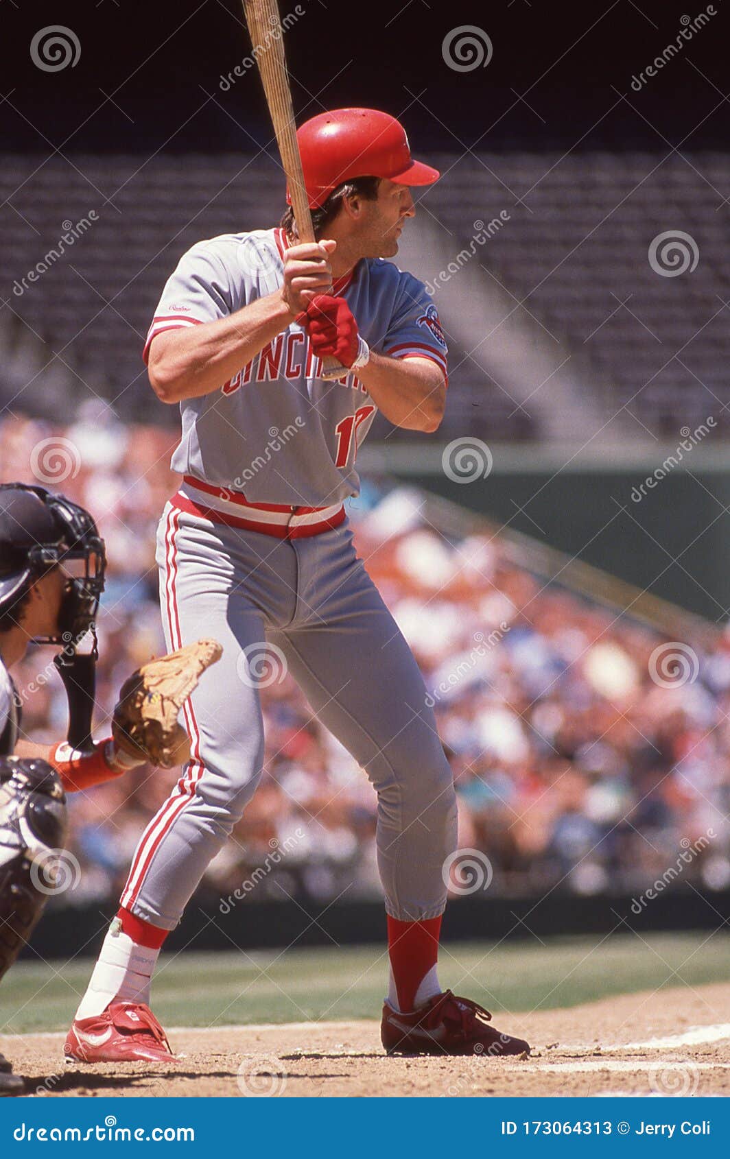 Nick Esasky editorial stock photo. Image of cincinnati - 173064313