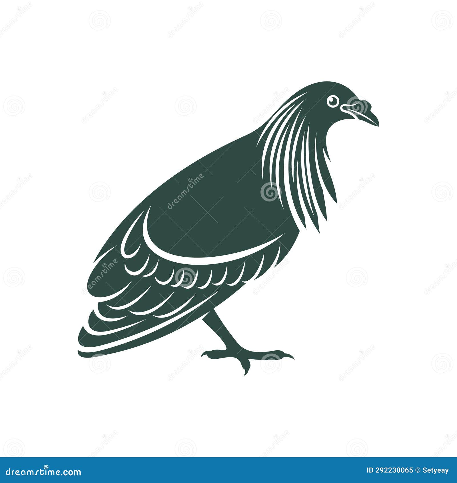 Nicobar Pigeon Design Vector Illustration. Nicobar Pigeon Silhouette ...