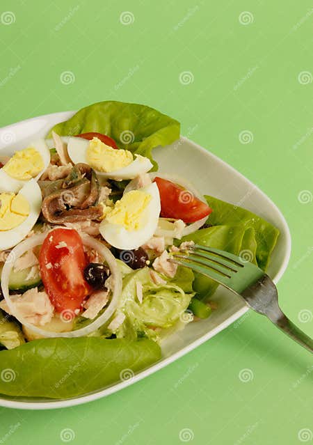 Nicoise Salad stock image. Image of nice, lunch, food - 2836349