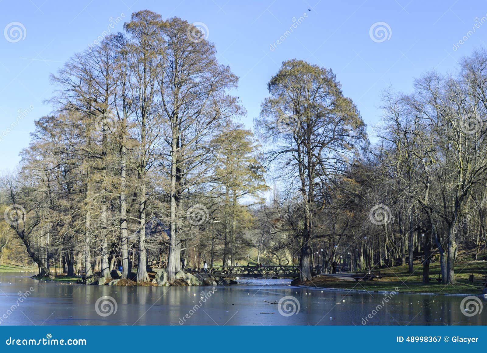 Nicolae Romanescu Park redactionele fotografie. Image of water - 48998367