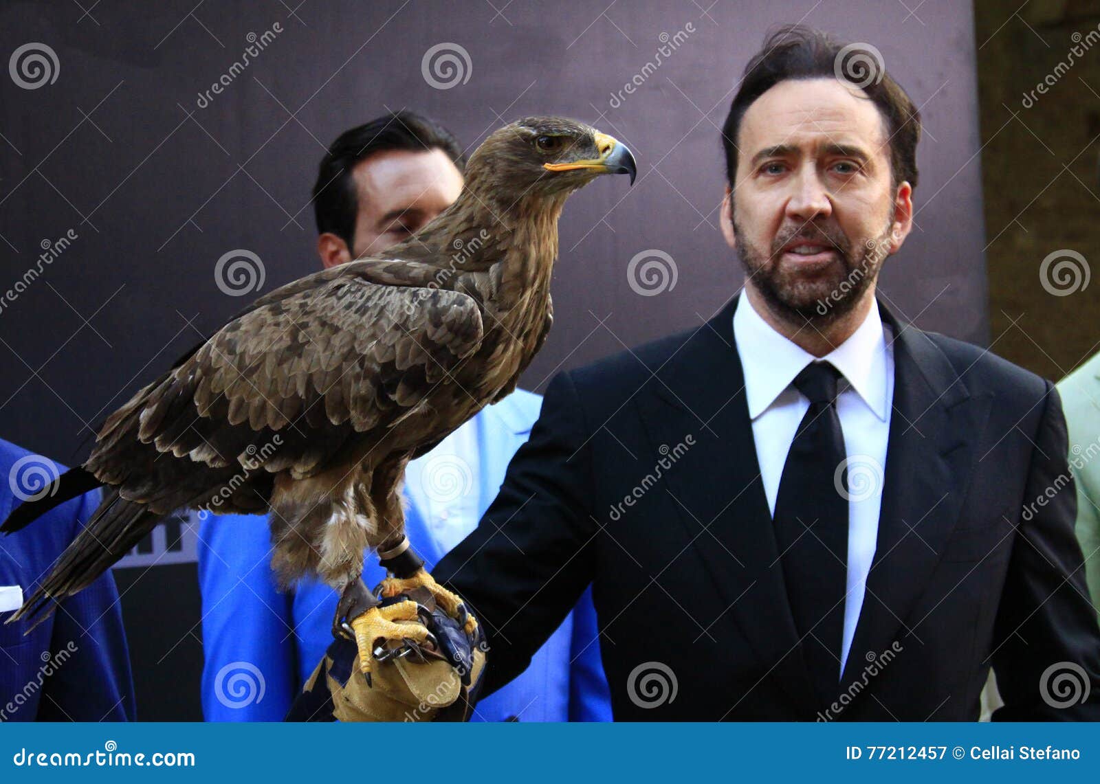 Nicolas Cage editorial photography. Image of eagle, actor - 77212457