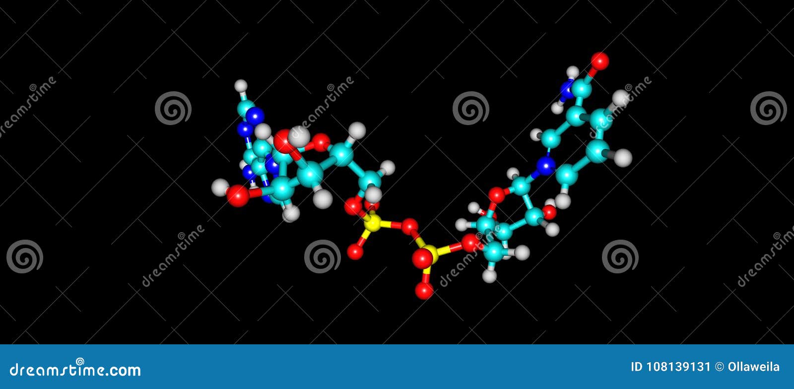 Nicotinamide Adenine Dinucleotide Molecular Structure Isolated On White ... Nicotinamide Adenine Dinucleotide Molecular Structure Isolated On White ...