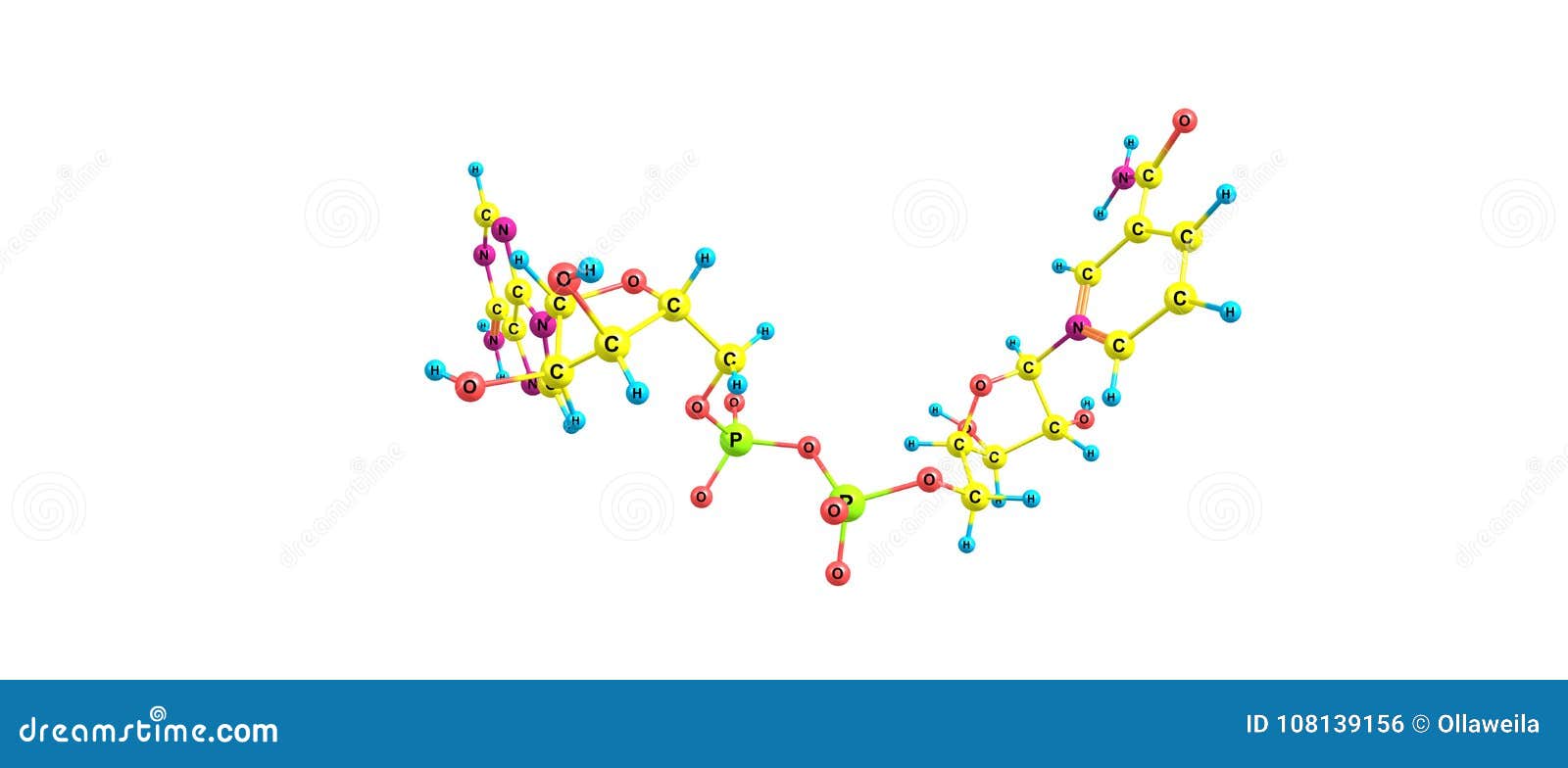Nicotinamide Adenine Dinucleotide Molecular Structure Isolated on White ... Nicotinamide Adenine Dinucleotide Molecular Structure Isolated on White ...