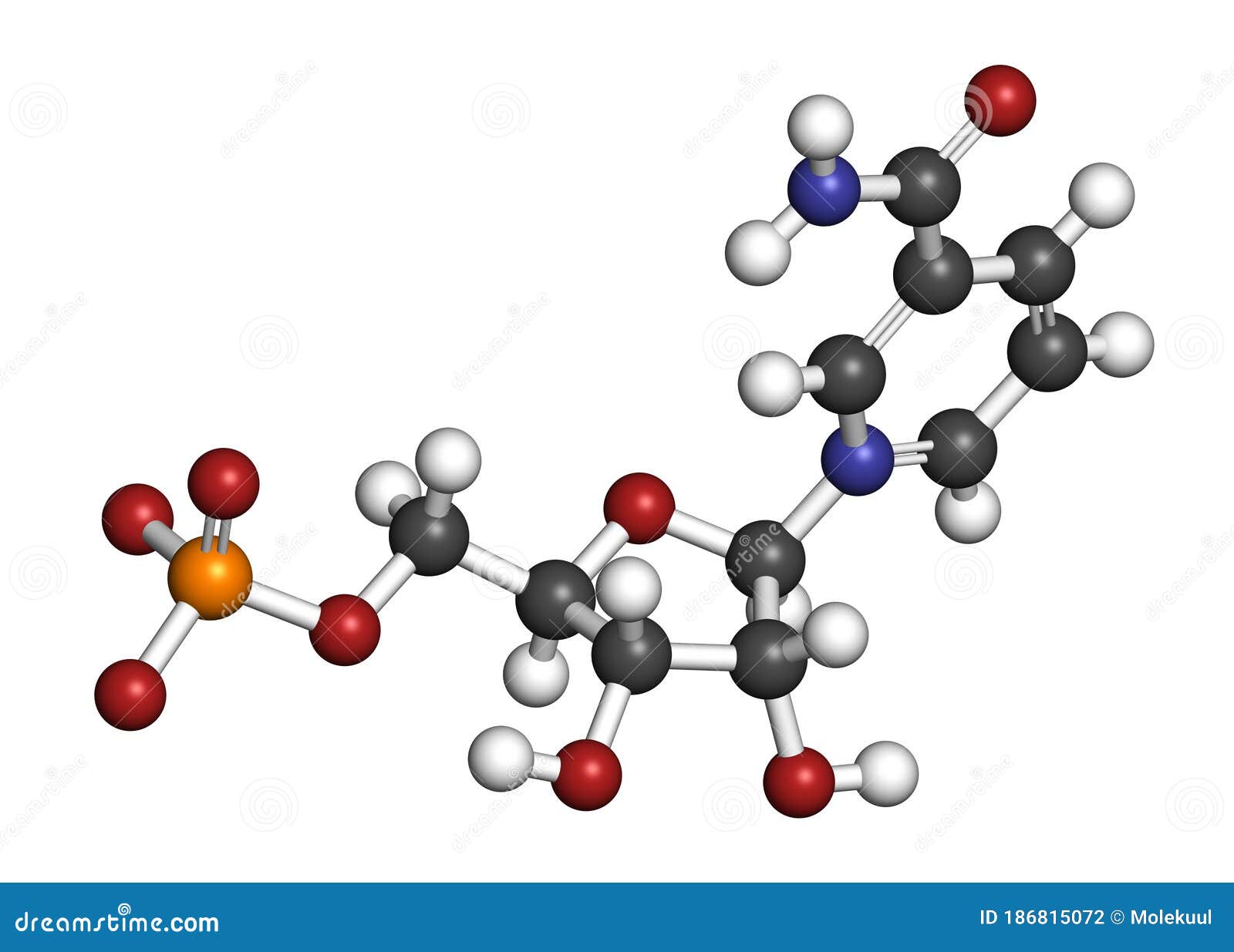 Nicotinamide Mononucleotide Molecule. Precursor of NAD . 3D Rendering ...