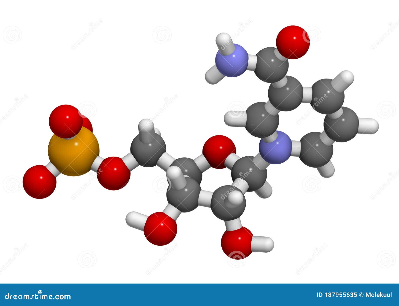 Nicotinamide Mononucleotide Molecule. Precursor of NAD . 3D Rendering ...