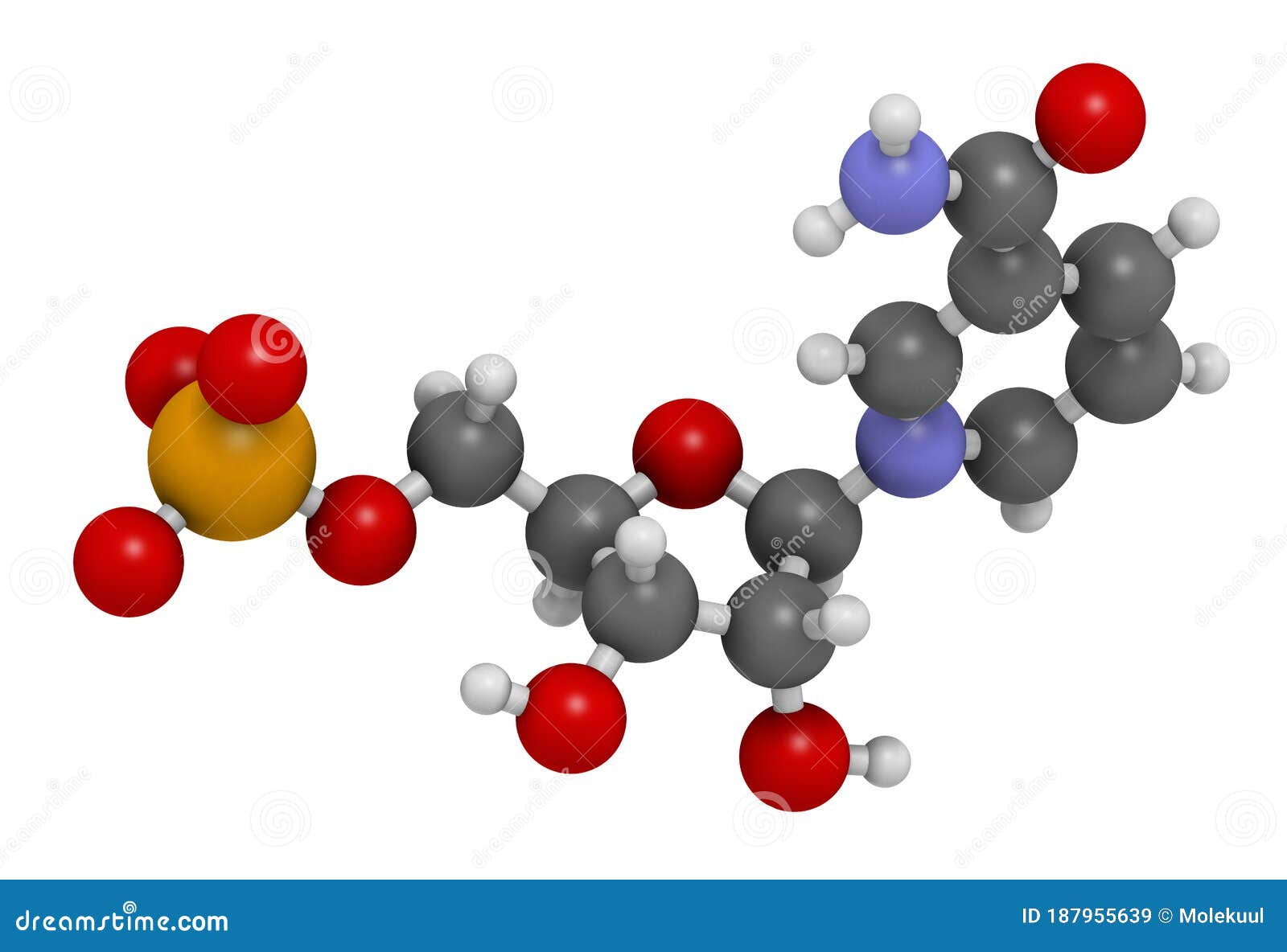 Nicotinamide Mononucleotide Molecule. Precursor Of NAD+. Skeletal ...