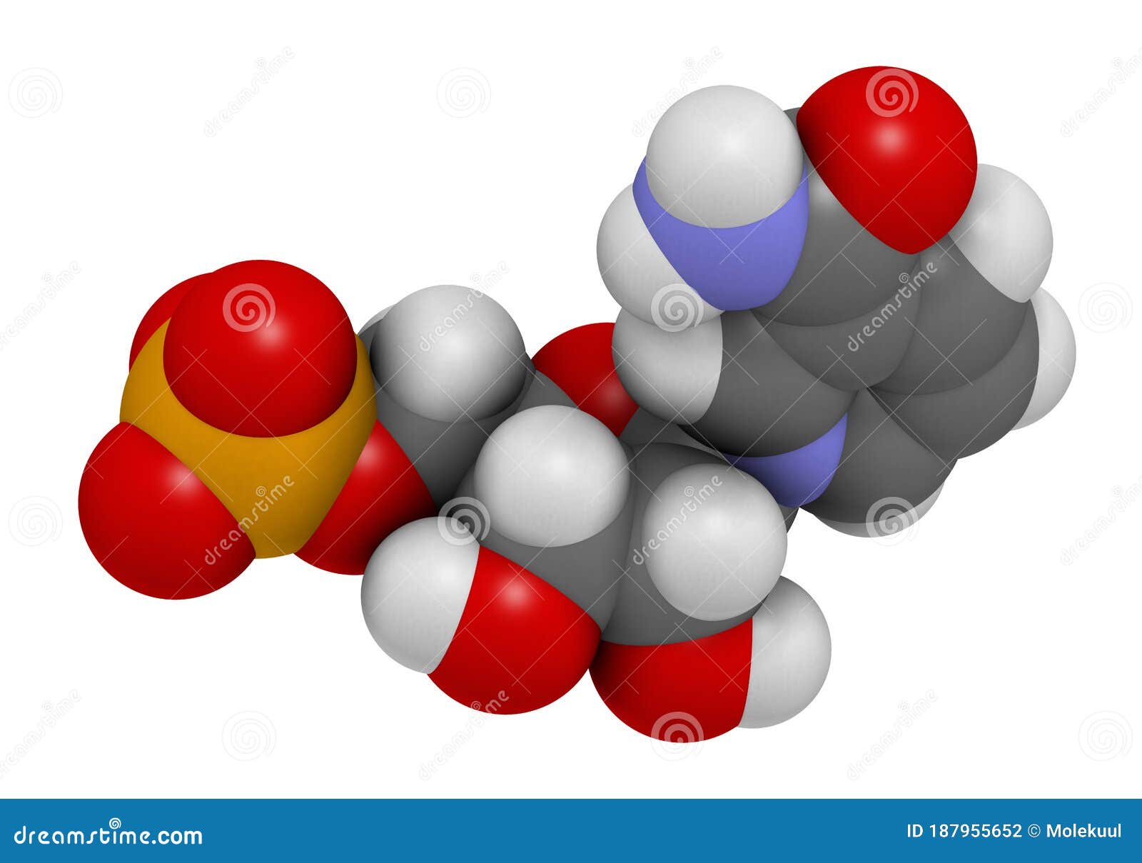 Nicotinamide Mononucleotide Molecule. Precursor Of NAD+. Skeletal ...
