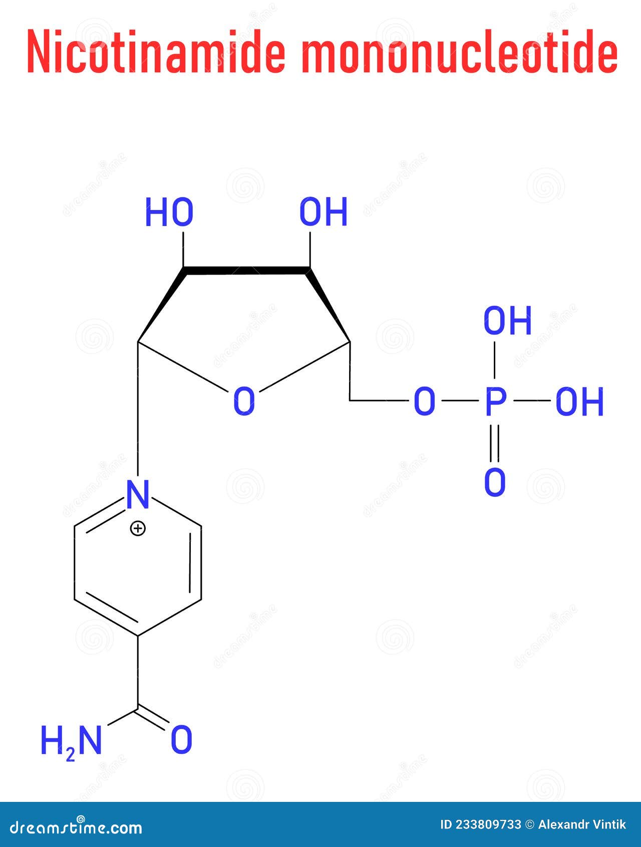 Nicotinamide Mononucleotide Molecule. Precursor of NAD Plus. Skeletal ...
