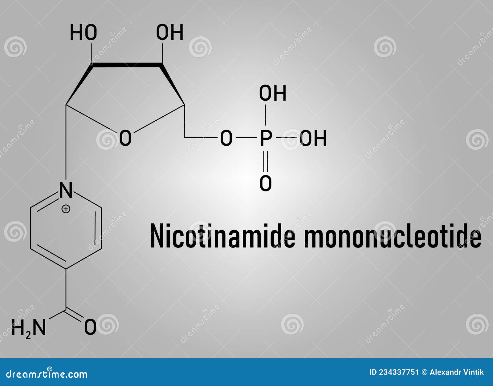 Nicotinamide Mononucleotide Molecule. Precursor Of NAD+. Skeletal ...