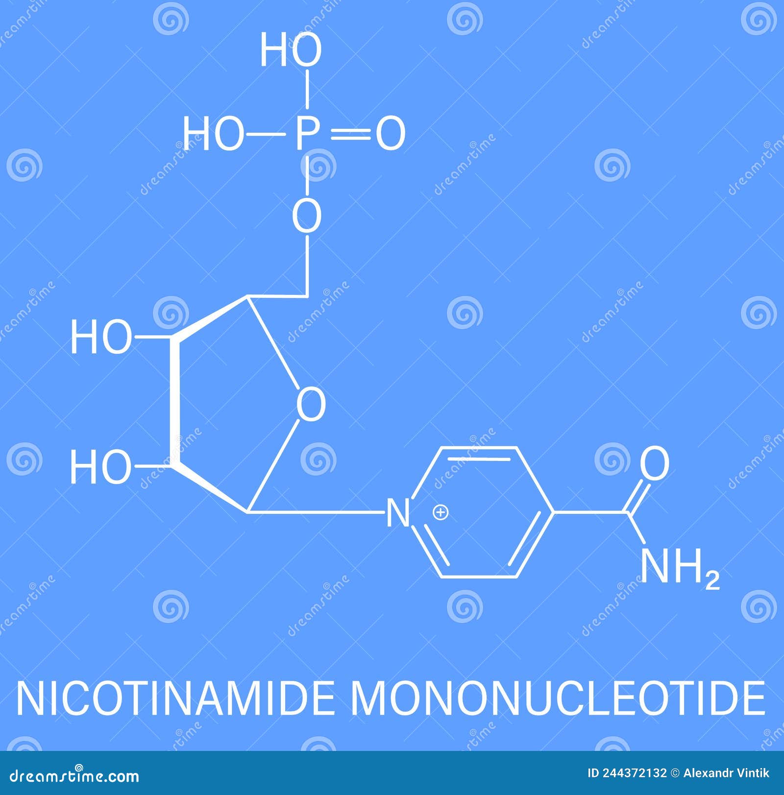 Nicotinamide Mononucleotide Molecule. Stock Vector - Illustration of ...