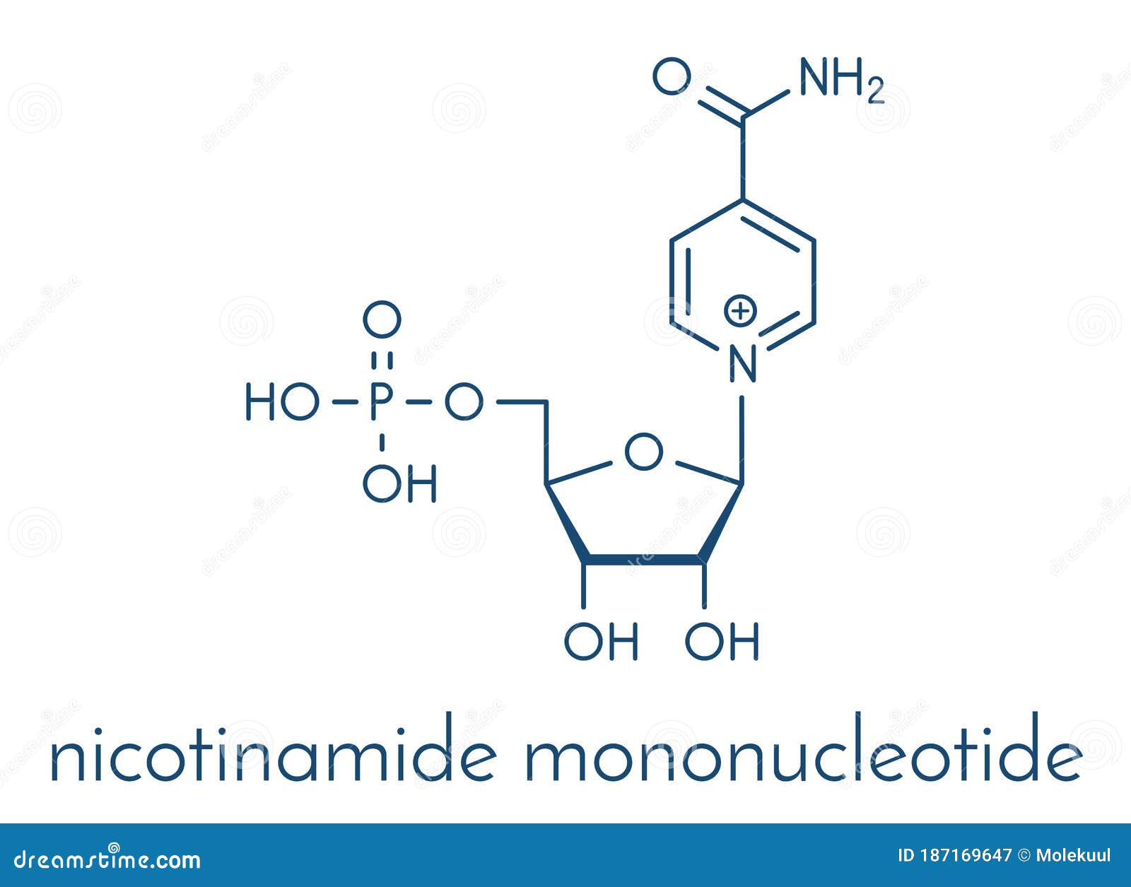Molecule Nicotinamide Mononucleotide, Molecular Structures, NMN, Beta ...