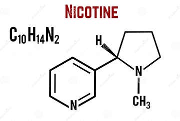 Nicotine Molecular Structural Chemical Formula Stock Vector ...