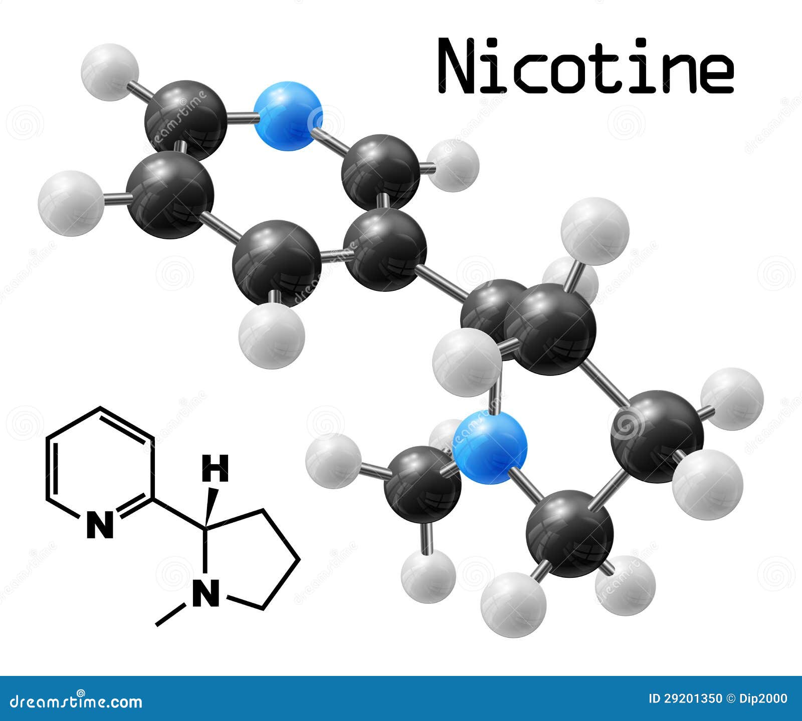 Nicotine Molecule Stock Vector Illustration Of Model 29201350